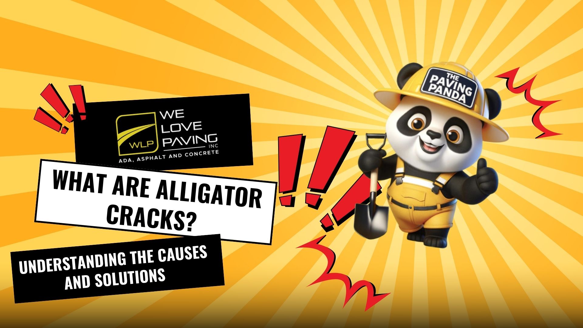 What Are Alligator Cracks? Understanding the Causes and Solutions - We Love Paving